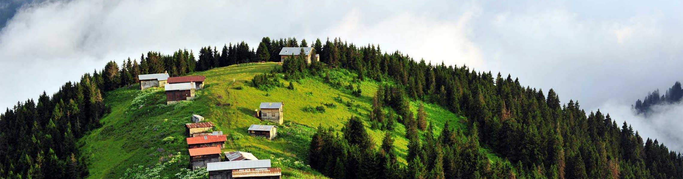 Gito Yaylası Turu | Rize Günübirlik Turlar ile Karadeniz’in En Sessiz Yaylası